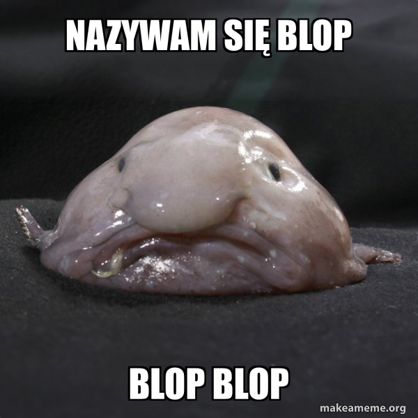 Nazywam się blop Blop blop - Blobfish Meme Generator