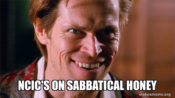 Ncic's on sabbatical honey Meme Generator