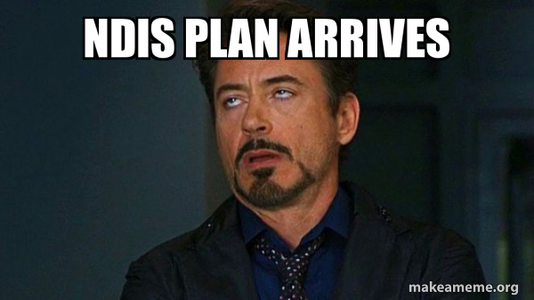 NDIS plan arrives - Tony Stark Eye Roll Meme Generator