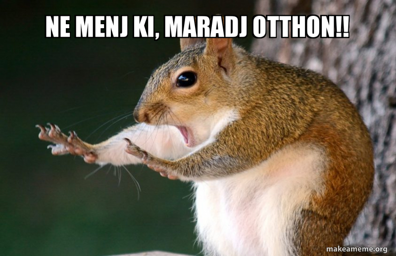 Ne menj ki, MARADJ otthon!! Meme Generator