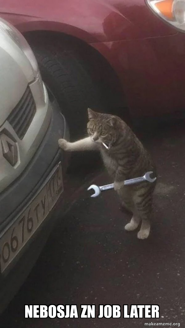 Nebosja zn job later - Mechanic Cat Meme Generator