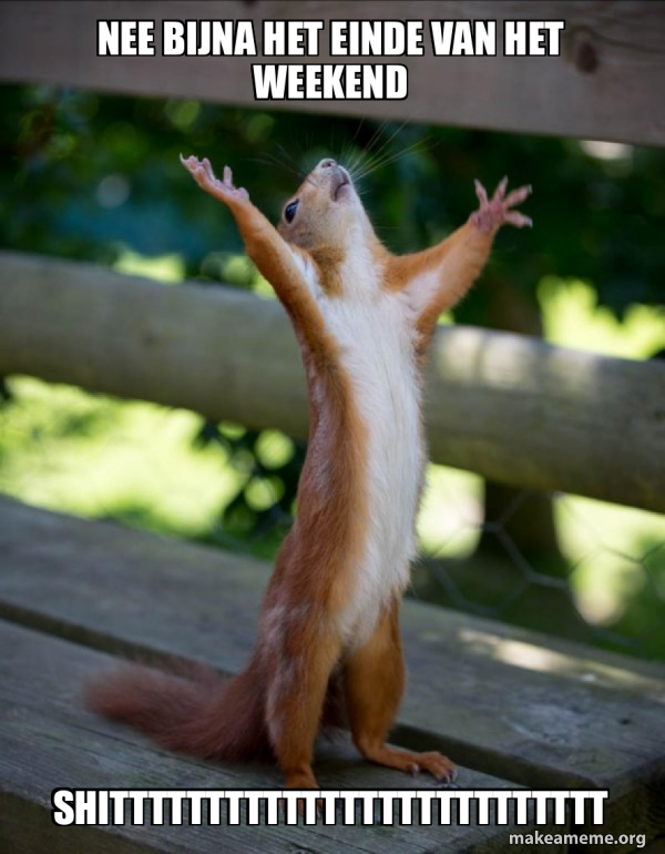 nee bijna het einde van het weekend shitttttttttttttttttttttttttt ...