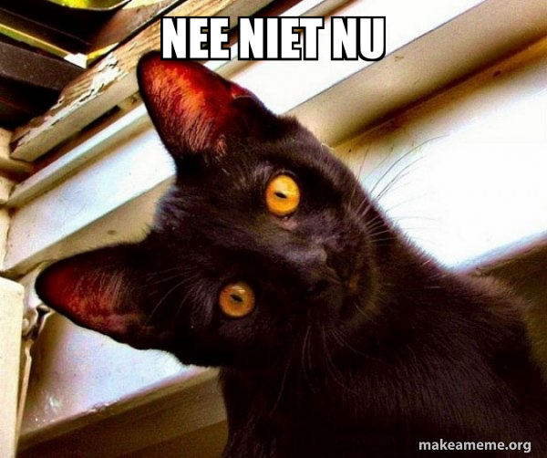 nee niet nu - Overly Attached Cat Meme Generator