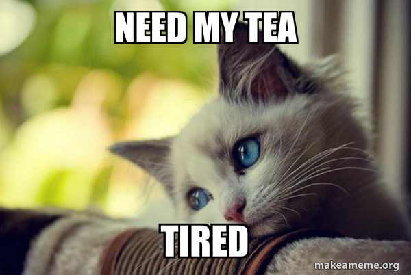 Need my tea TIRED - First World Cat Problems Meme Generator