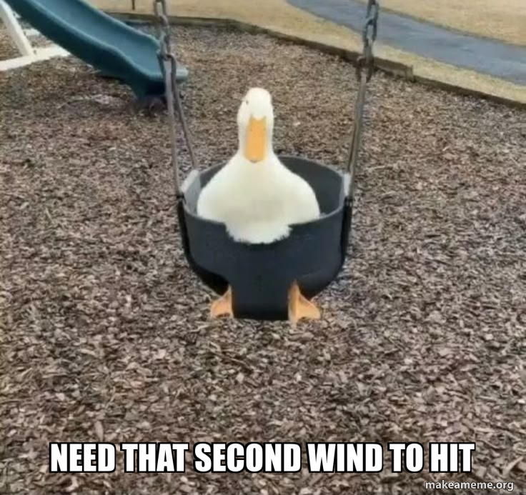 need that second wind to hit Meme Generator