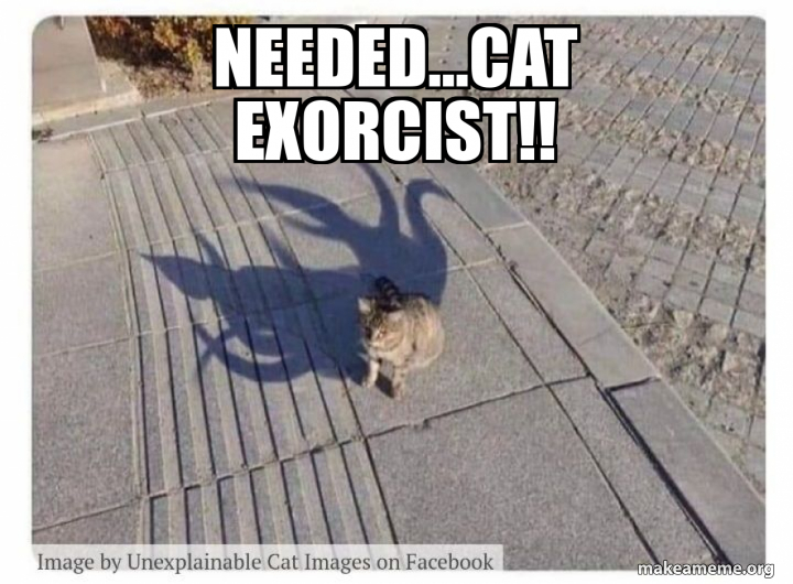 needed...cat exorcist!! Meme Generator