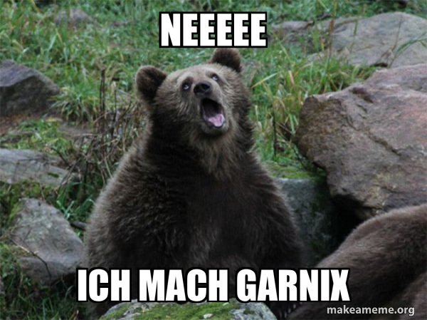 Neeeee Ich mach garnix - Sarcastic Bear Meme Generator