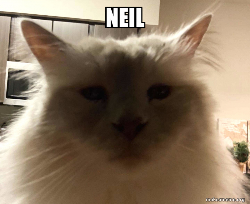 NEIL Meme Generator