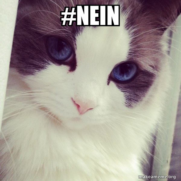 #nein - Ridiculously Photogenic Cat Meme Generator