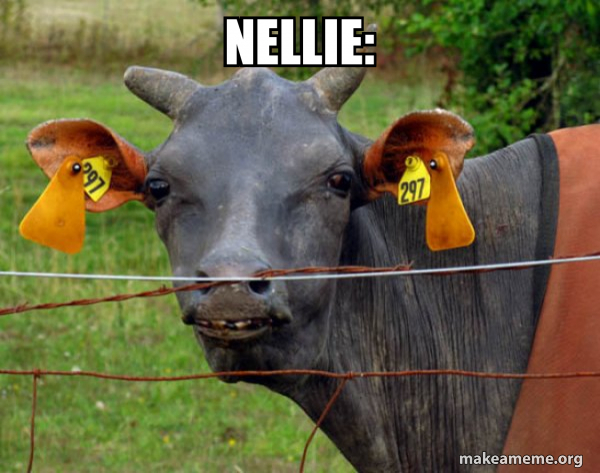 Nellie: - Hairless Cow Meme Generator