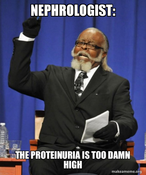 Nephrologist: The proteinuria is too damn high - Too Damn HIgh Meme ...