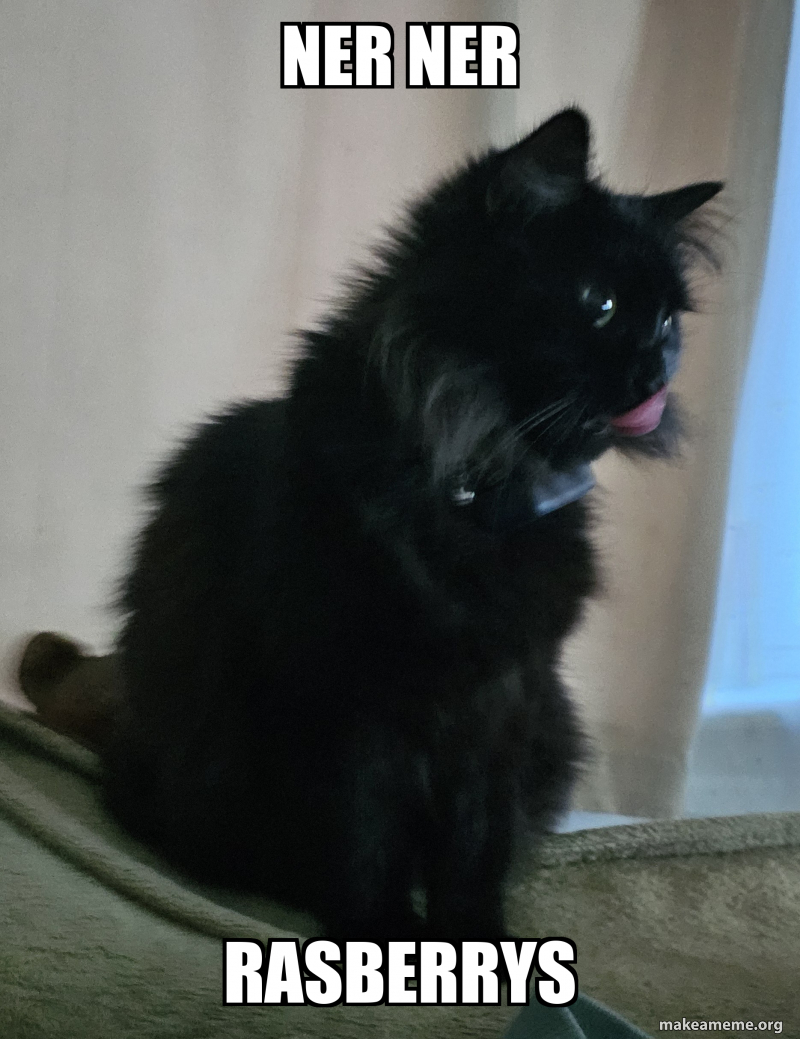 NER NER Rasberrys Meme Generator