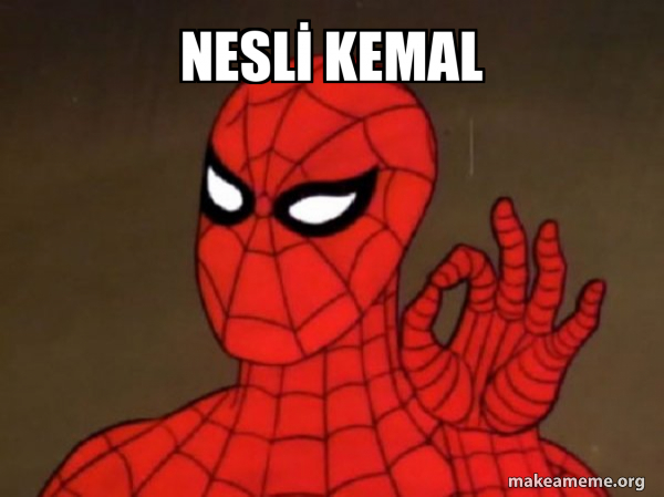 NESLİ KEMAL - Spiderman - Care factor Zero Meme Generator
