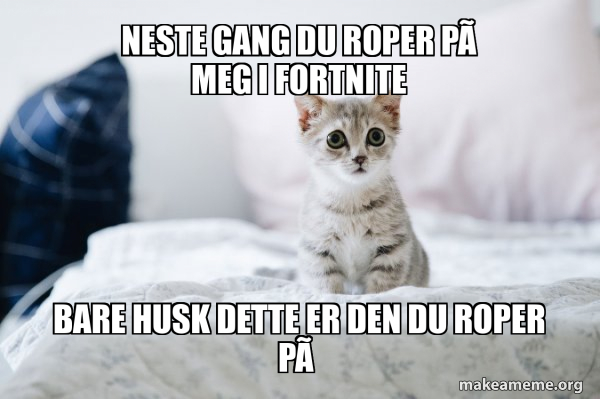 neste gang du roper på meg i fortnite bare husk dette er den du roper ...