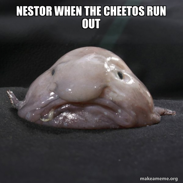 Nestor when the Cheetos run out - Blobfish Meme Generator