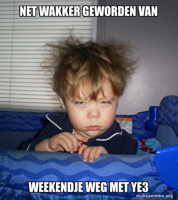 NET WAKKER GEWORDEN VAN WEEKENDJE WEG MET YE3 - Monday Mornings Meme ...