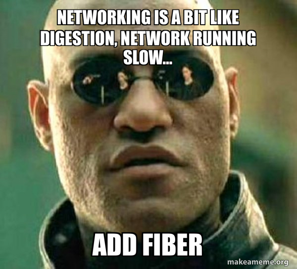 Networking is a bit like digestion, network running slow... Add Fiber ...