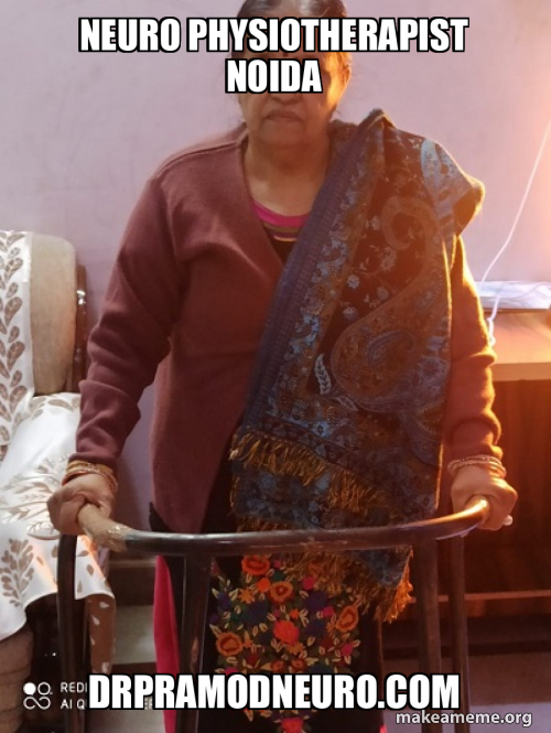 Neuro Physiotherapist Noida drpramodneuro.com Meme Generator