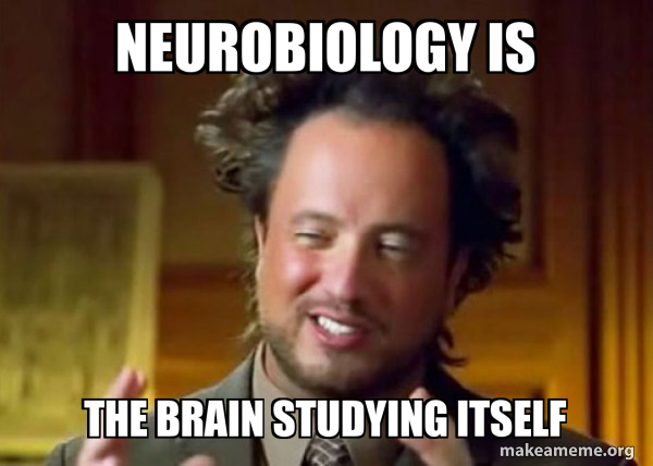 NEurobiology is the brain studying itself - Ancient Aliens - Crazy ...