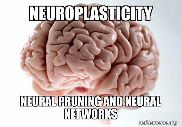 Neuroplasticity Neural pruning and neural networks - Scumbag Brain Meme ...