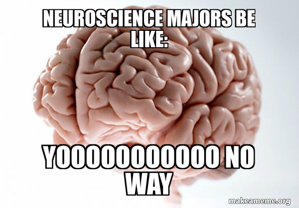 Neuroscience Majors be like: YOOOOOOOOOOO NO WAY - Scumbag Brain Meme ...