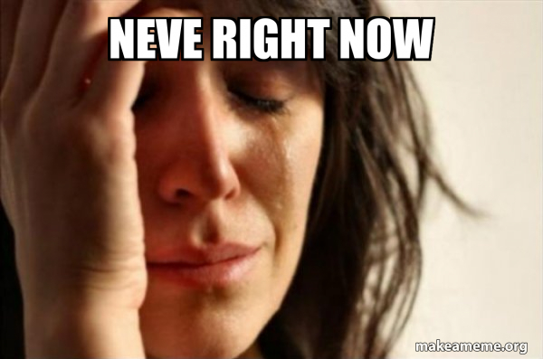 neve right now - First World Problems Meme Generator
