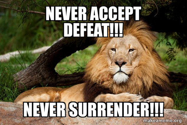 Never accept defeat!!! Never surrender!!! - Contemplative Lion Meme ...