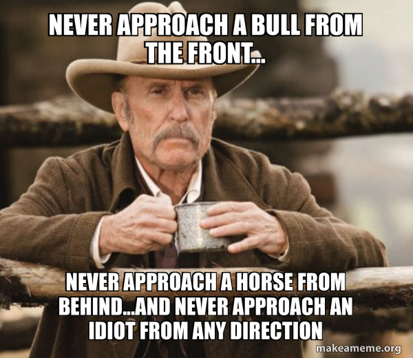 Never approach a bull from the front... Never approach a horse from ...