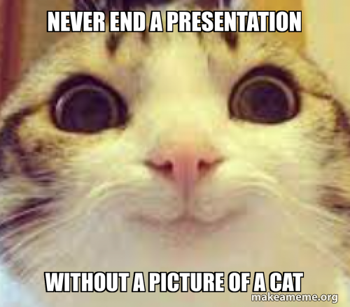 never end a presentation without a picture of a cat Meme Generator