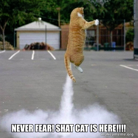Never fear! Shat cat is here!!!! Meme Generator