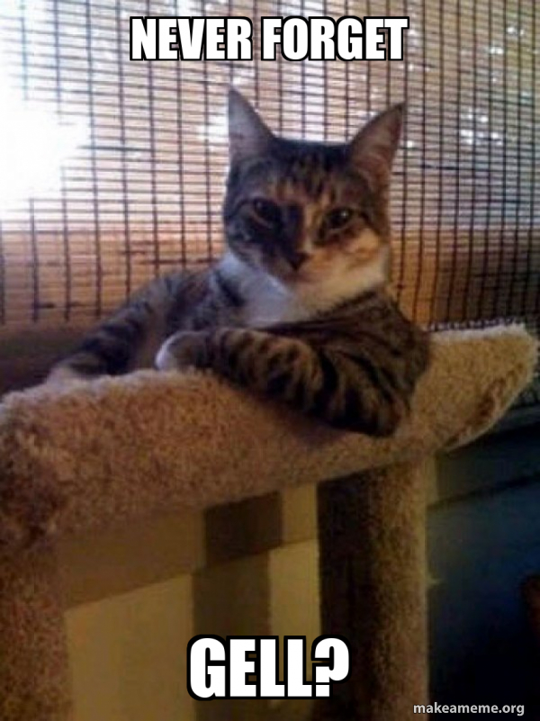 Never Forget GELL? - The Most Interesting Cat in the World Meme Generator