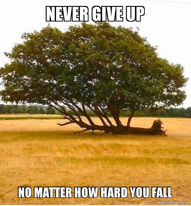 never give up no matter how hard you fall Meme Generator