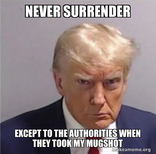 Never surrender except to the authorities when they took my mugshot Meme Generator