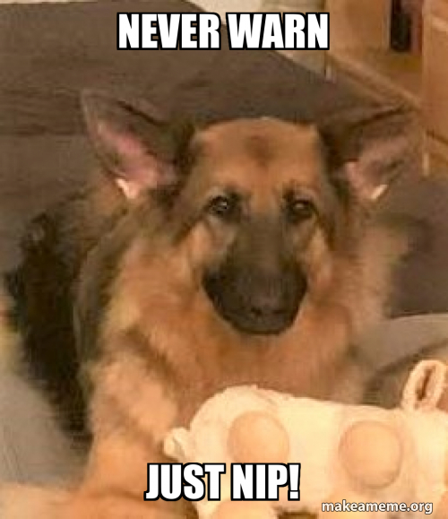 never warn just nip! Meme Generator