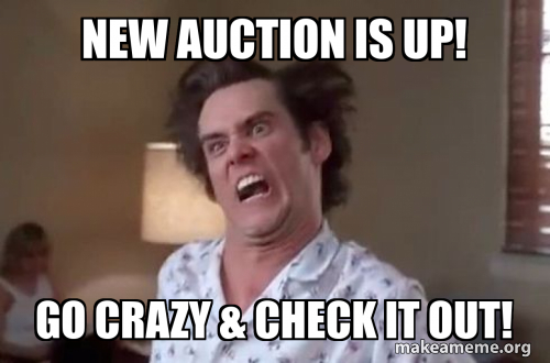 new auction is up! go crazy & check it out! Meme Generator