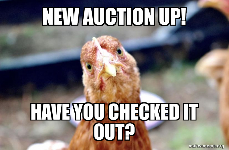 new auction up! have you checked it out? Meme Generator