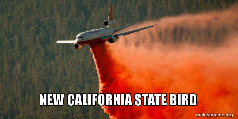 New California State Bird Meme Generator