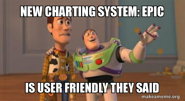 New Charting system: Epic is user friendly they said - Buzz and Woody ...
