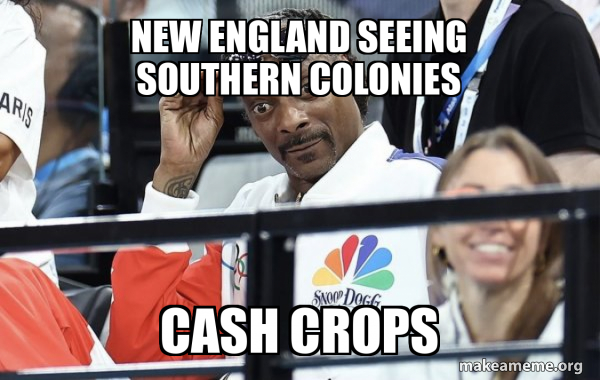 new england seeing southern colonies cash crops - Snoop Dogg Sunglasses ...