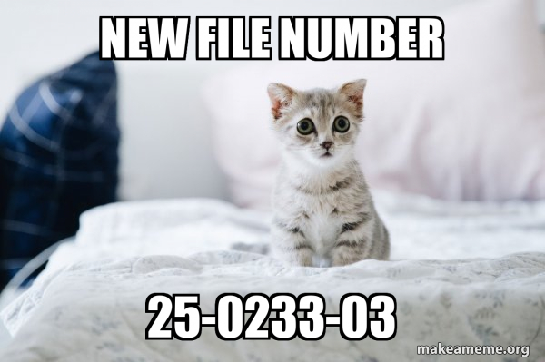 New File Number 25-0233-03 - Cute Kitten Meme Generator