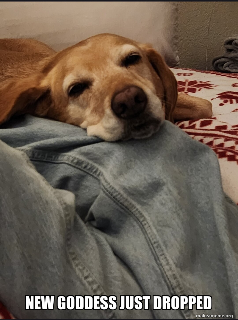 New goddess just DROPPEd Meme Generator