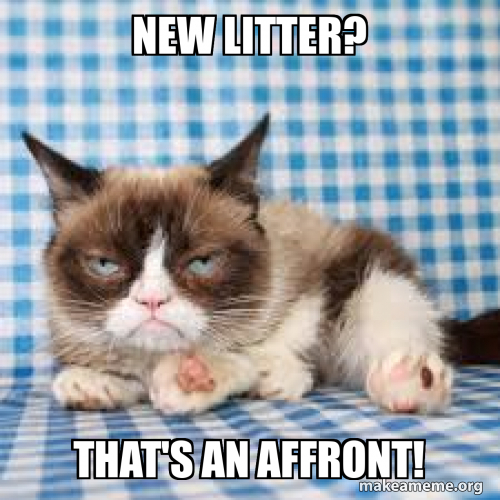 New litteR? That's an affront! Meme Generator