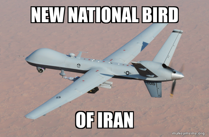 NEw national bird Of iran Meme Generator