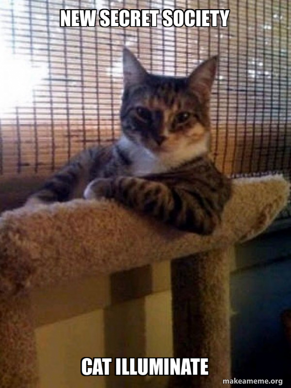 New secret society Cat Illuminate - The Most Interesting Cat in the ...