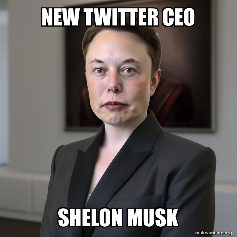 New Twitter ceo Shelon musk Meme Generator