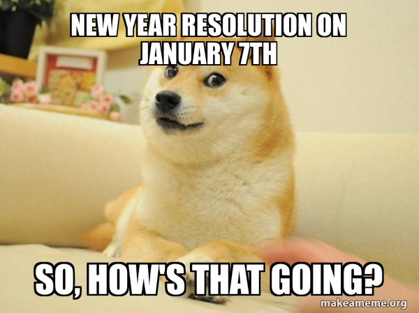 New Year resolution on January 7th So, how's that going? - Doge Meme ...