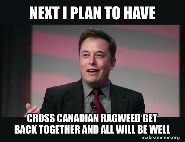 Next I Plan to have Cross canadian ragweed get back together and all ...