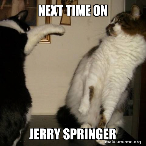 Next time on jerry springer Meme Generator