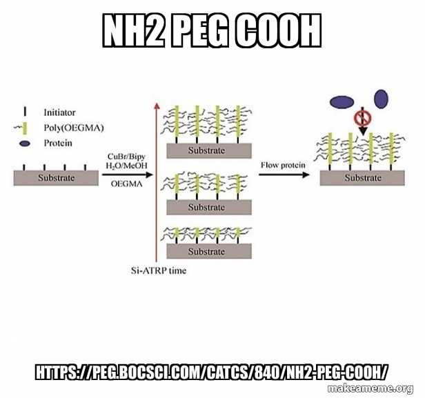 nh2 peg cooh https://peg.bocsci.com/catcs/840/nh2-peg-cooh/ Meme Generator