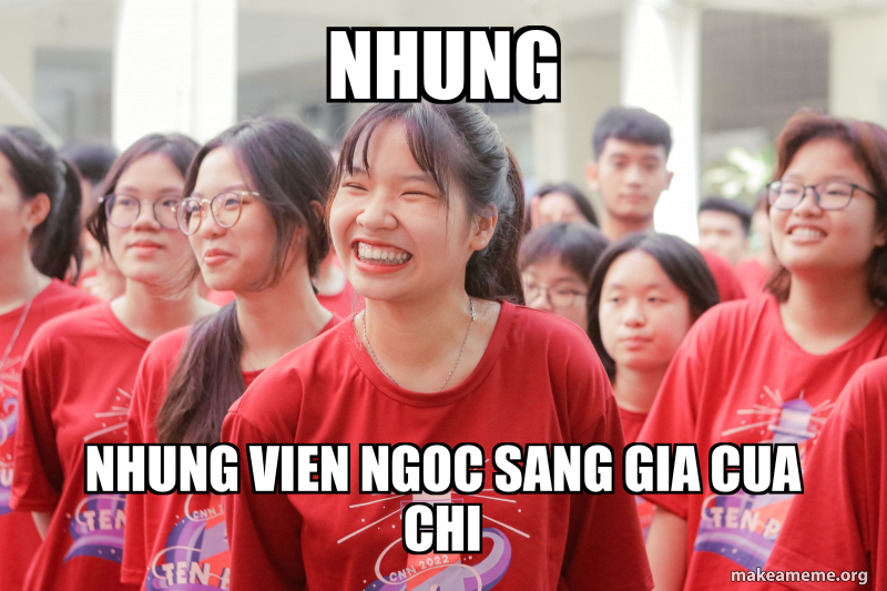 NHUNG NHUNG VIEN NGOC SANG GIA CUA CHI Meme Generator